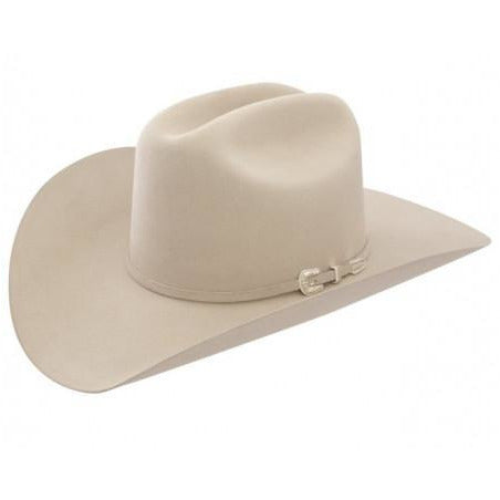 Stetson Skyline Silverbelly 6X Beaver Fur Felt Western Rodeo Riding Co ...
